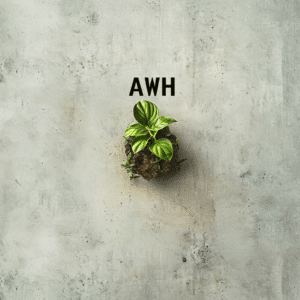Slang: The Definition and Usage of AWH